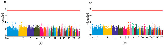 Genetic Analysis of Egg Production Traits in Luhua Chickens: Insights ...
