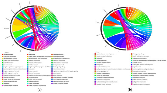 Genetic Analysis of Egg Production Traits in Luhua Chickens: Insights ...