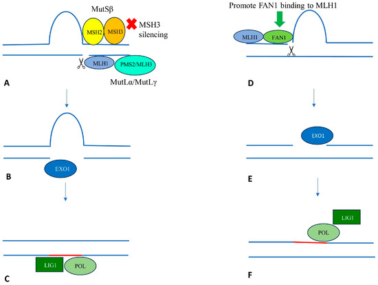 Beyond CAG Repeats: The Multifaceted Role of Genetics in Huntington Disease