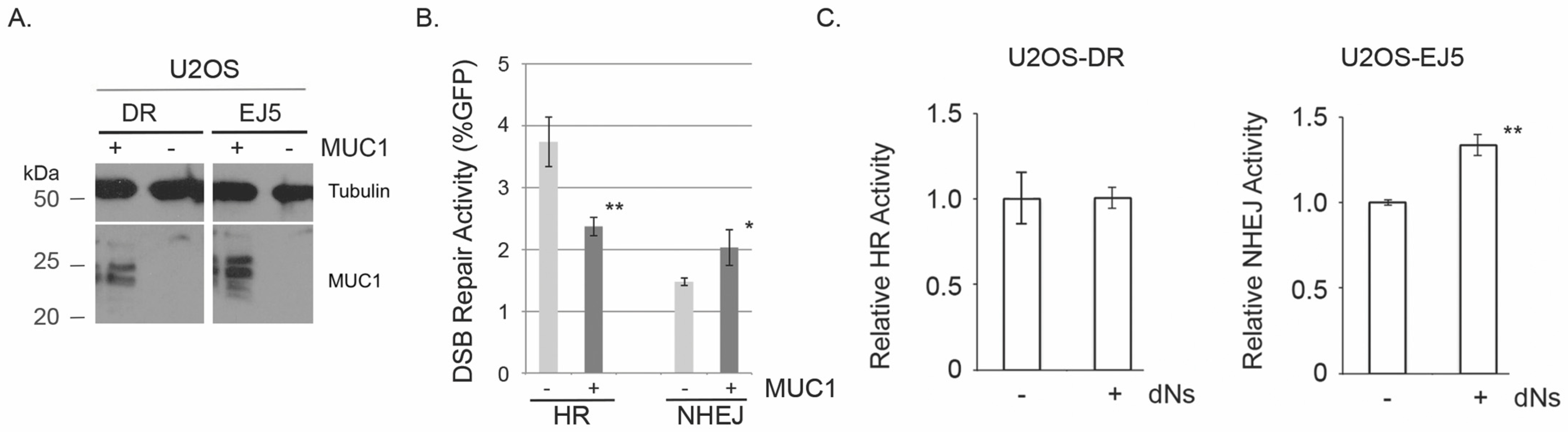 Up-Regulation of Non-Homologous End-Joining by MUC1