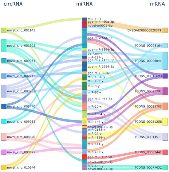 A Network of Circular RNA and MicroRNA Sequencing Provides Insights ...