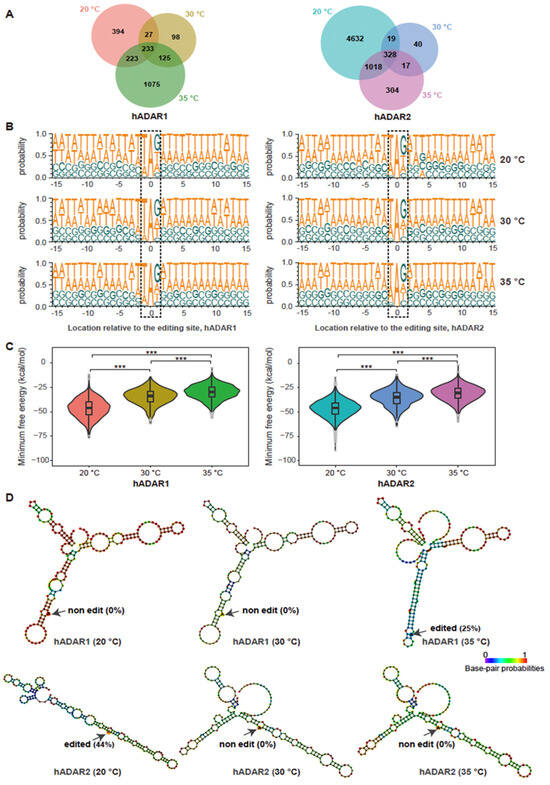 Revealing Differential RNA Editing Specificity of Human ADAR1 and ADAR2 ...