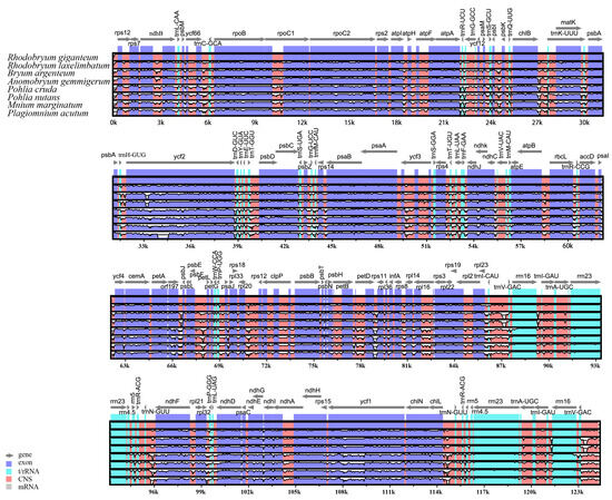 The Complete Chloroplast Genome Sequence of the Medicinal Moss ...