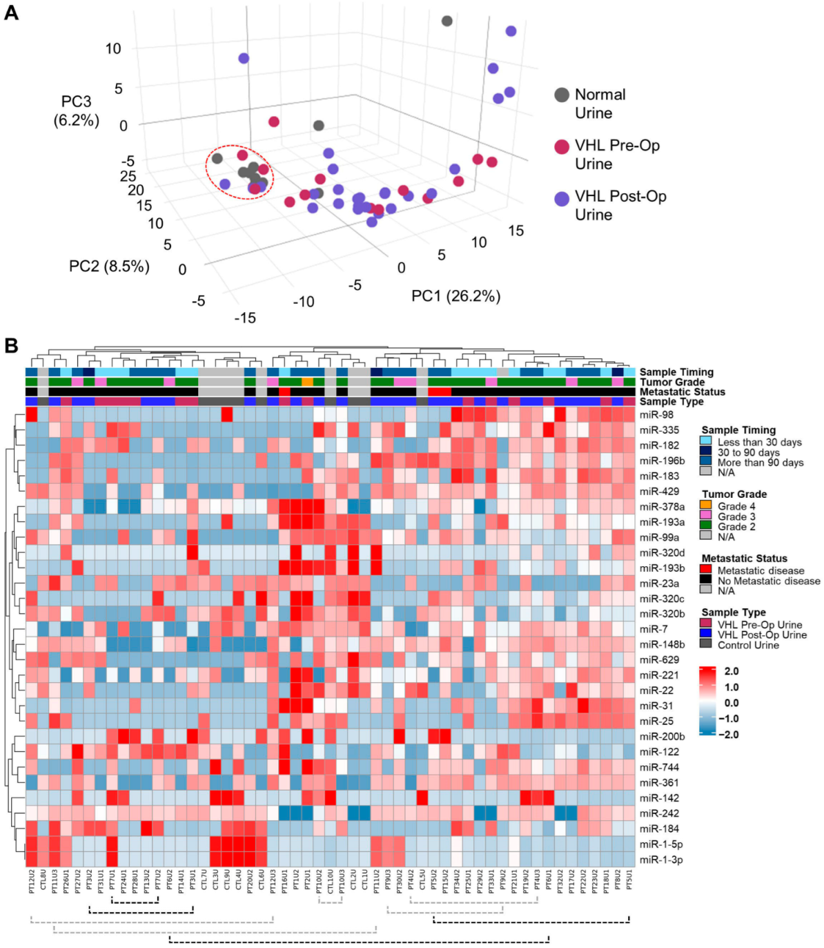 Evaluating the Urinary Exosome microRNA Profile of von Hippel Lindau Syndrome Patients with ...