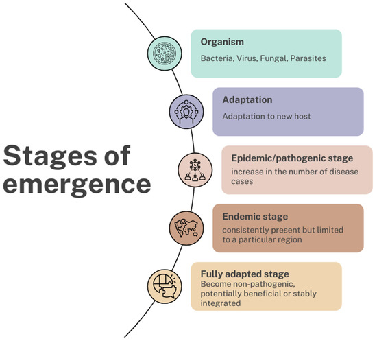 Emerging Microorganisms and Infectious Diseases: One Health Approach ...