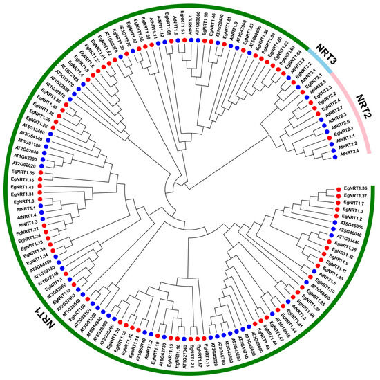 Genome-Wide Identification and Expression Analysis of Nitrate ...