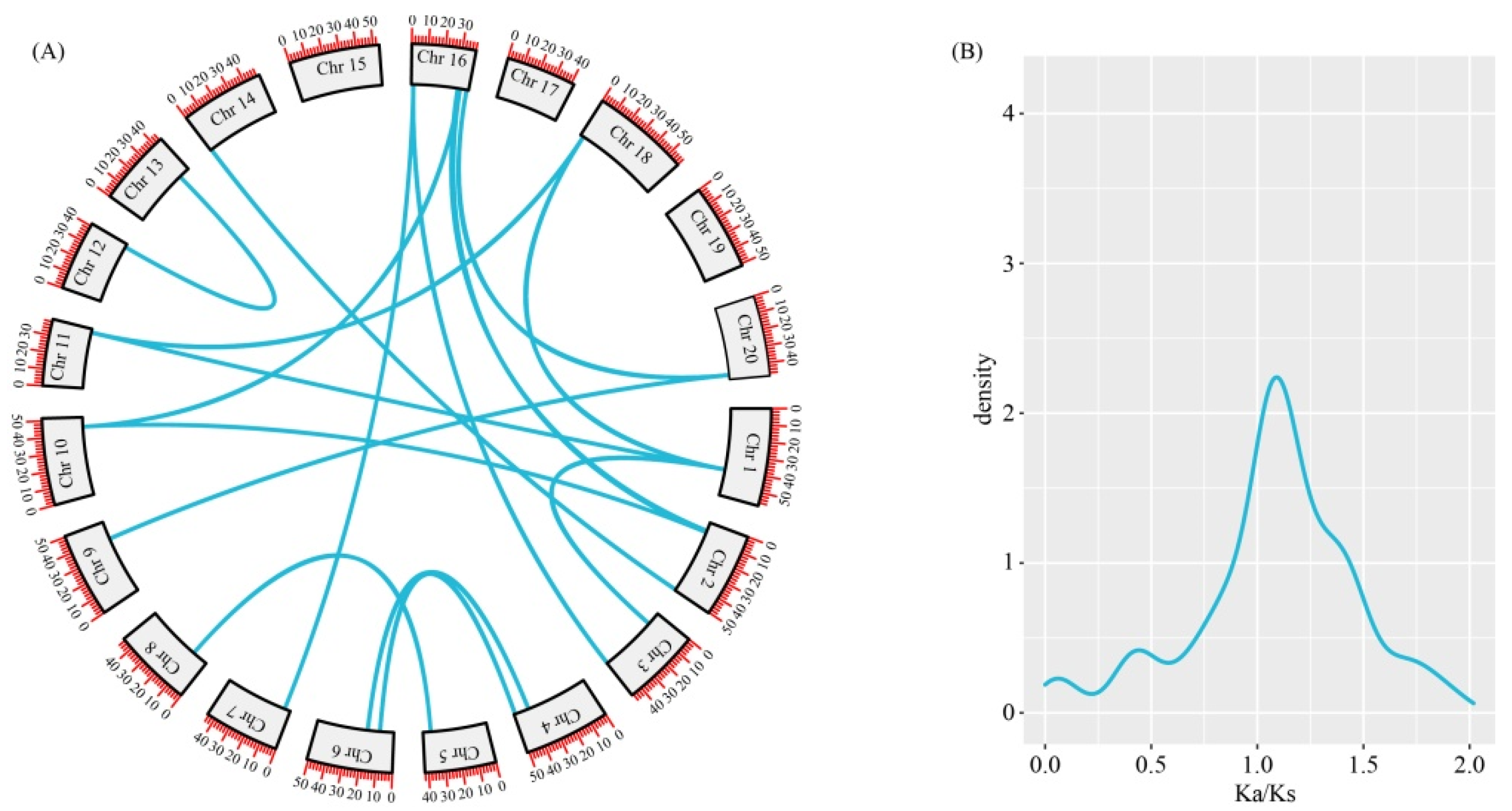 Genome-Wide Identification and Characterization of CCT Gene Family from ...