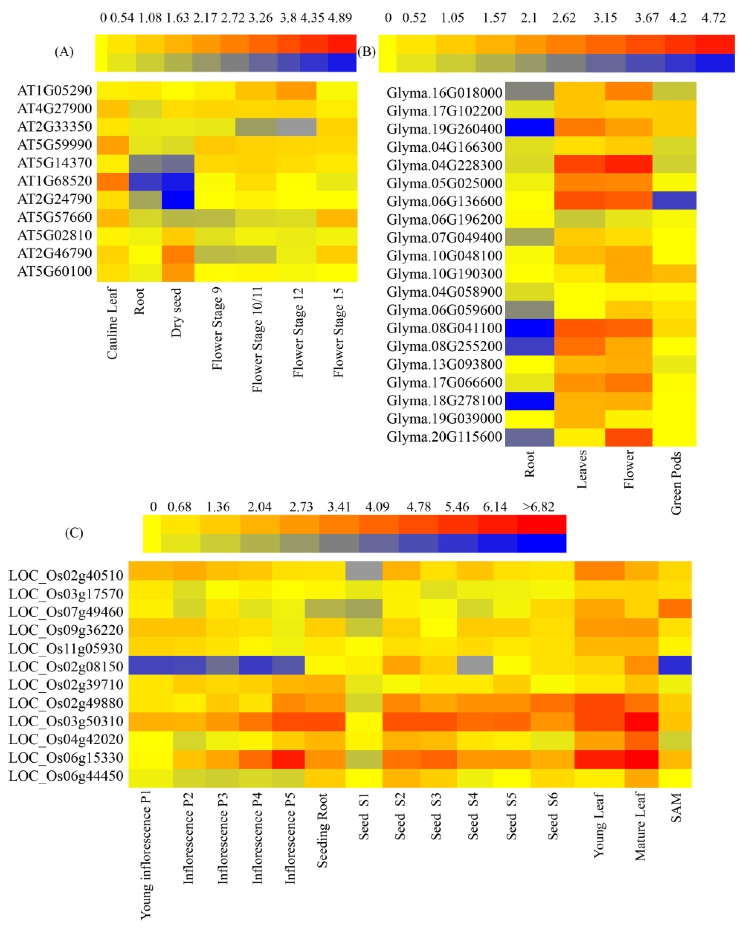 Genome-Wide Identification and Characterization of CCT Gene Family from ...