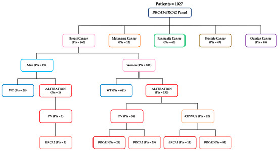 In Silico Prediction of BRCA1 and BRCA2 Variants with Conflicting ...