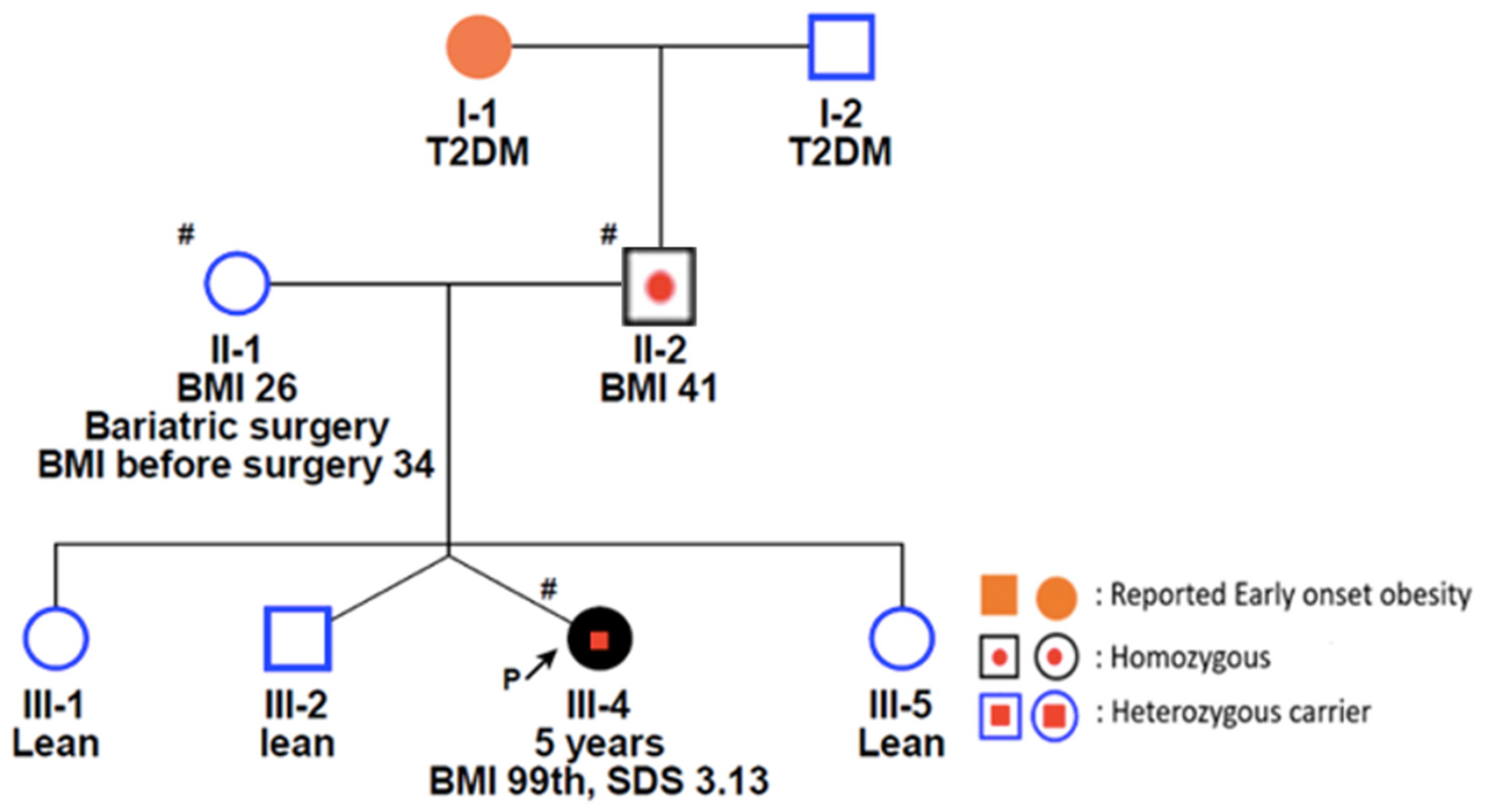 Identification of KSR2 Variants in Pediatric Patients with Severe Early ...