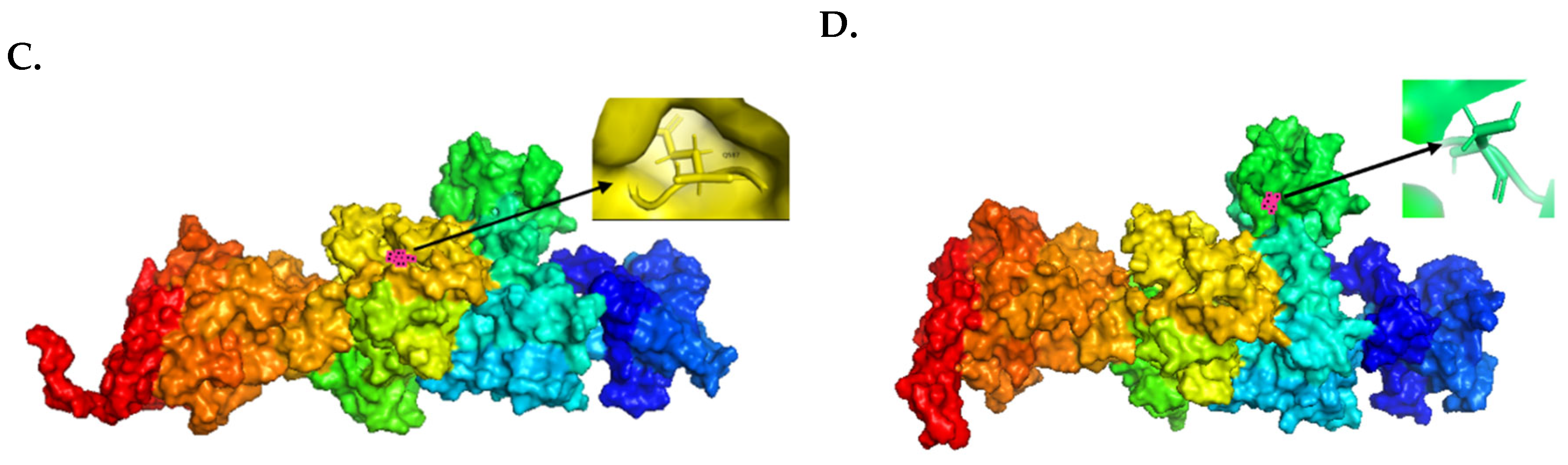 Identification of KSR2 Variants in Pediatric Patients with Severe Early ...
