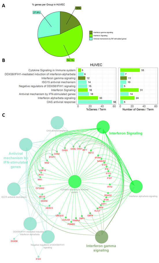 Changes in the Transcriptome and Long Non-Coding RNAs but Not the Methylome Occur in Human Cells ...
