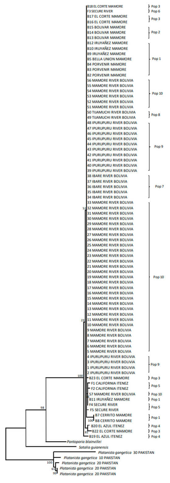 Are There Barriers Separating the Pink River Dolphin Populations (Inia ...