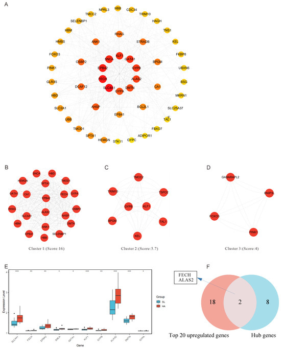 Key Genes FECH and ALAS2 under Acute High-Altitude Exposure: A Gene ...