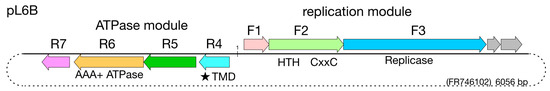 Global Distribution and Diversity of Haloarchaeal pL6-Family Plasmids