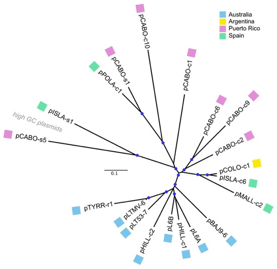 Global Distribution and Diversity of Haloarchaeal pL6-Family Plasmids