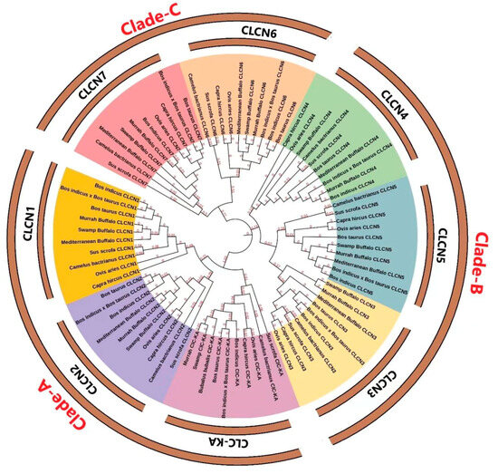In Silico Analysis: Molecular Characterization and Evolutionary Study ...