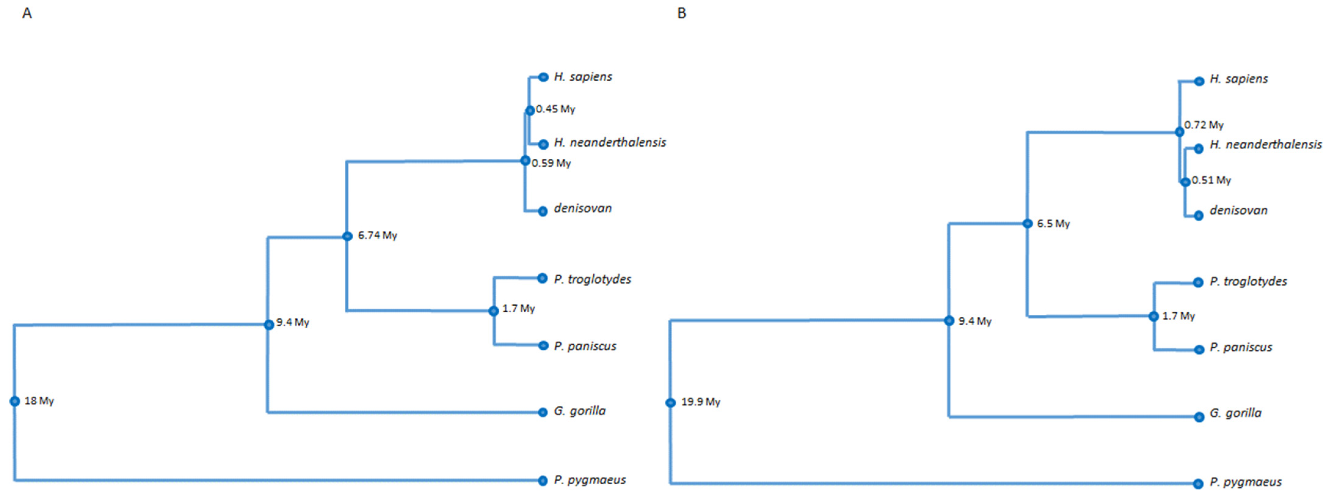 Phylo-Epigenetics in Phylogeny Analyses and Evolution