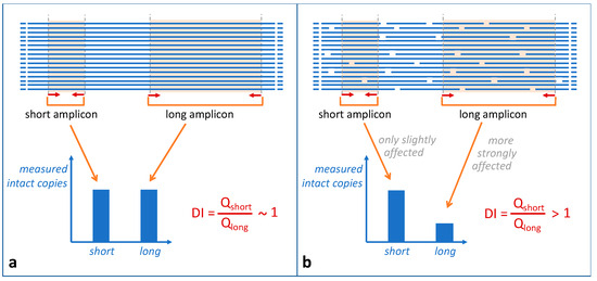 Genomic Multicopy Loci Targeted by Current Forensic Quantitative PCR Assays