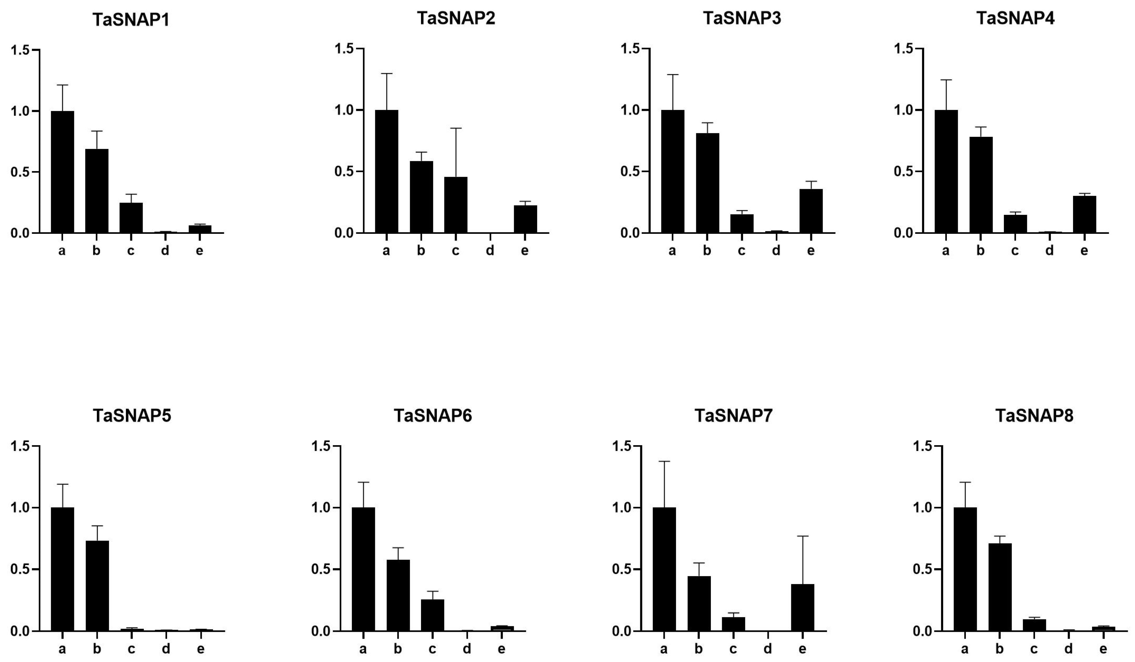 Genome-Wide Identification and Expression Analysis of SNAP Gene Family ...
