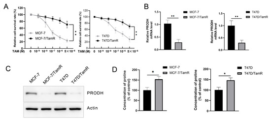 PRODH Regulates Tamoxifen Resistance through Ferroptosis in Breast ...