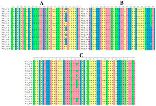 Polymorphic Loci of Adaptively Significant Genes Selection for ...