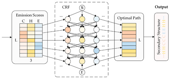 ILMCNet: A Deep Neural Network Model That Uses PLM to Process Features and Employs CRF to ...