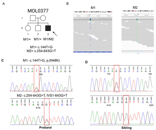 A Leaky Deep Intronic Splice Variant in CLRN1 Is Associated with Non ...