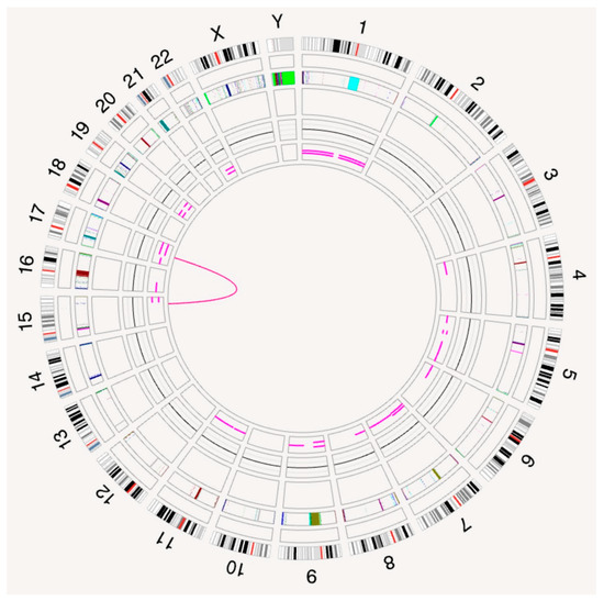 Optical Genome Mapping Reveals Complex and Cryptic Rearrangement ...