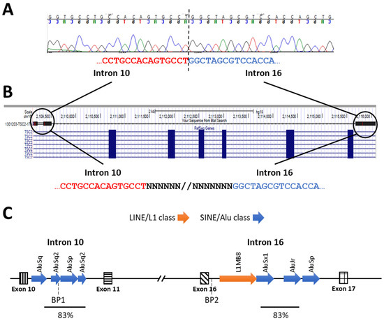Molecular and Functional Assessment of TSC1 and TSC2 in Individuals ...