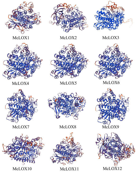 Identification and Expression Analysis of Lipoxygenase Gene in Bitter ...