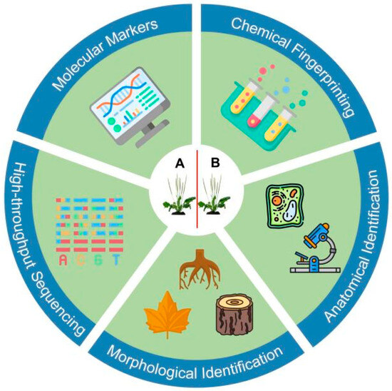 From Species to Varieties: How Modern Sequencing Technologies Are ...