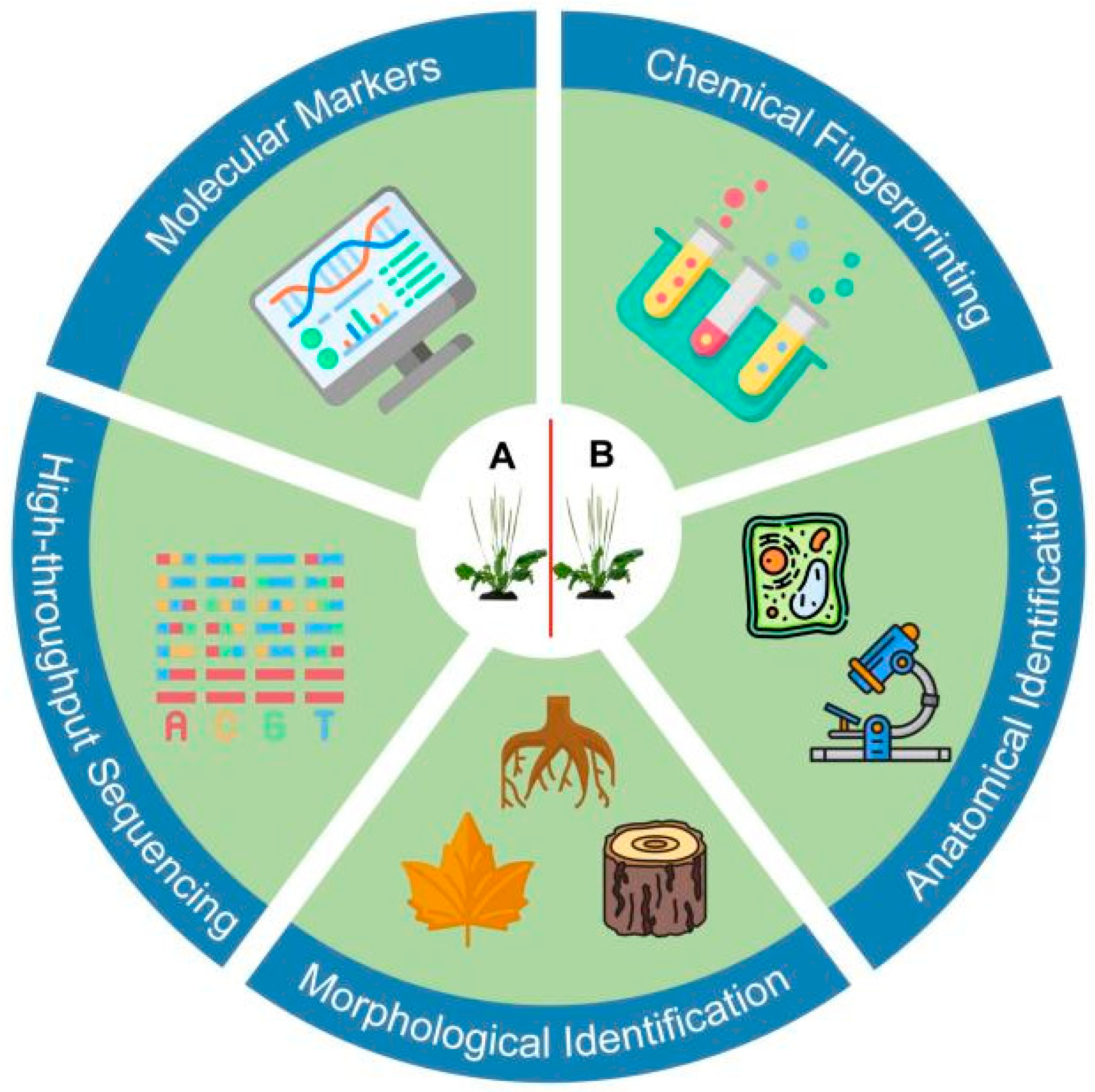 From Species to Varieties: How Modern Sequencing Technologies Are ...