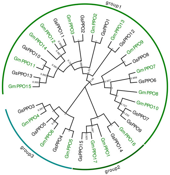 Genome-Wide Identification and Comprehensive Analysis of the PPO Gene ...
