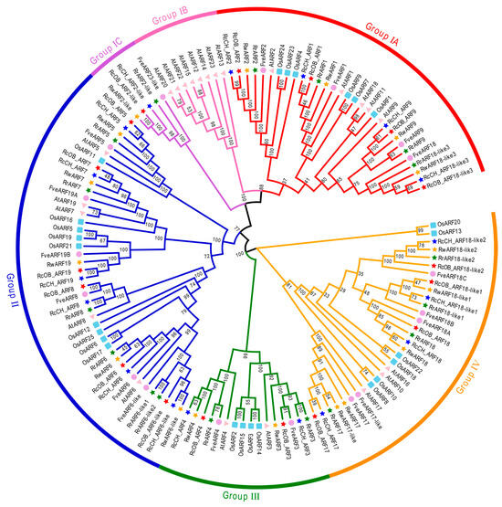 The Identification of Auxin Response Factors and Expression Analyses of ...
