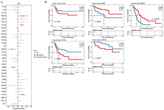 Retinol-Binding Protein 4 as a Biomarker in Cancer: Insights from a Pan ...