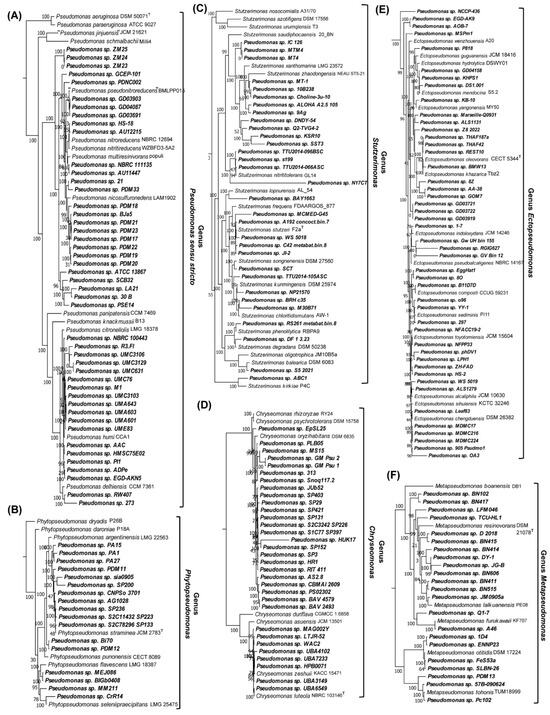 Molecular Markers Specific for the Pseudomonadaceae Genera Provide ...