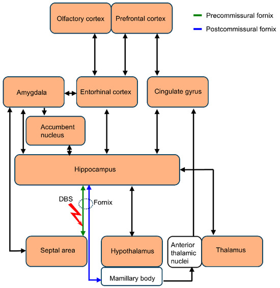 Neuronal Network Activation Induced by Forniceal Deep Brain Stimulation ...