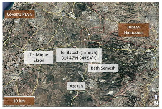 Fossil or Non-Fossil: A Case Study in the Archaeological Wheat Triticum ...