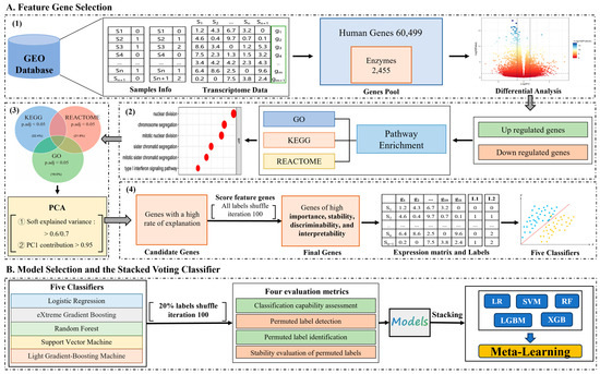 Optimizing Model Performance and Interpretability: Application to ...