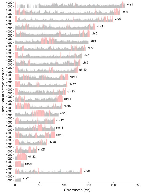 Identification and Characterization of LINE and SINE Retrotransposons ...