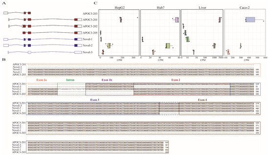 Discovery of Novel APOC3 Isoforms in Hepatic and Intestinal Cell Models ...