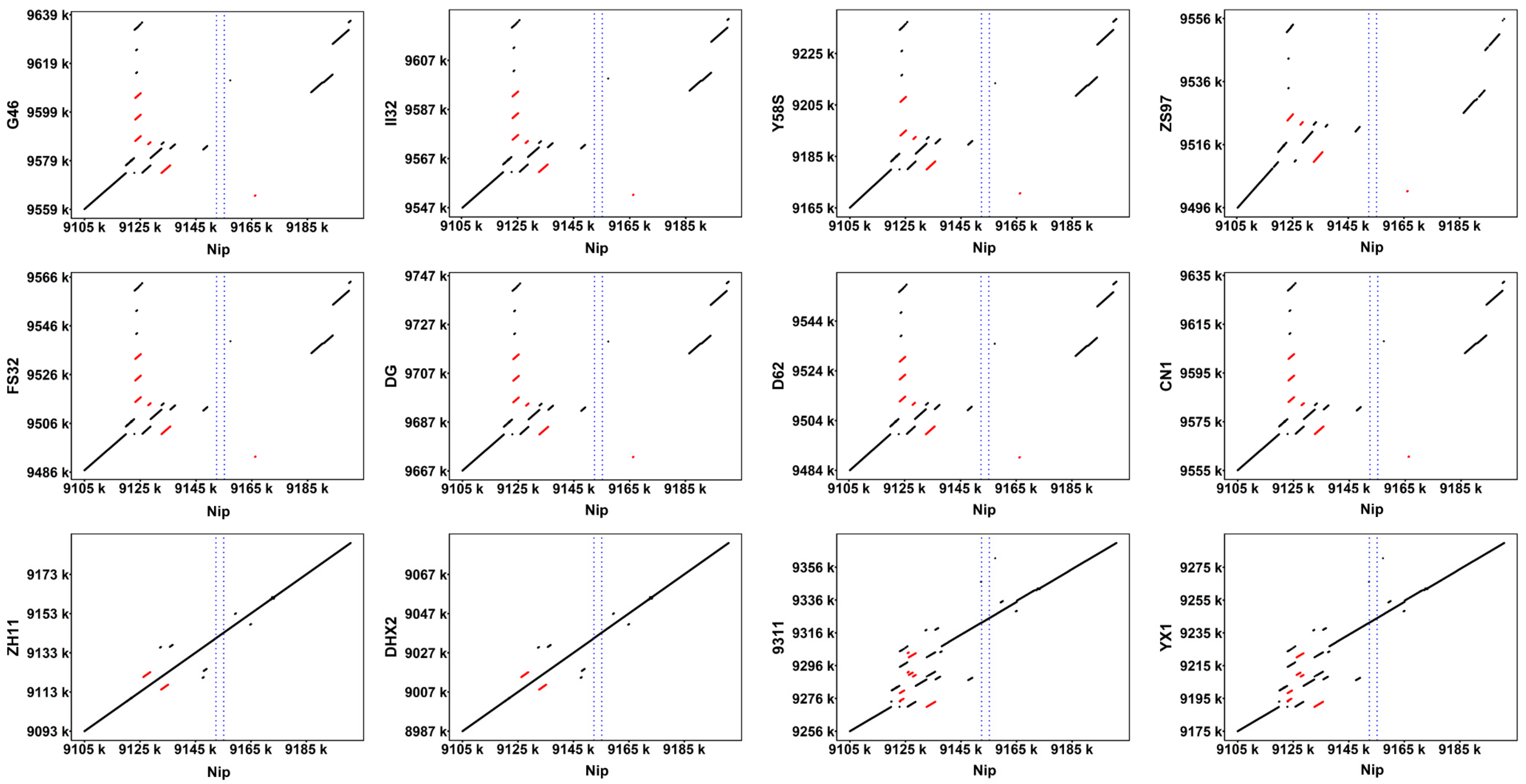 Comprehensive Analysis of Ghd7 Variations Using Pan-Genomics and Prime ...