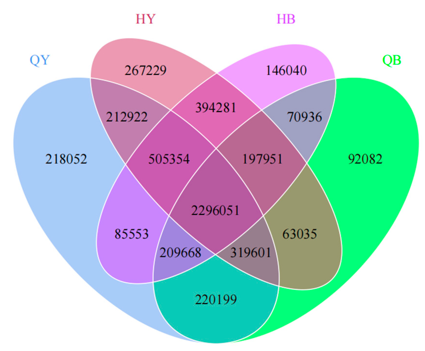 Effects of Different Stages of Training on the Intestinal Microbes of ...