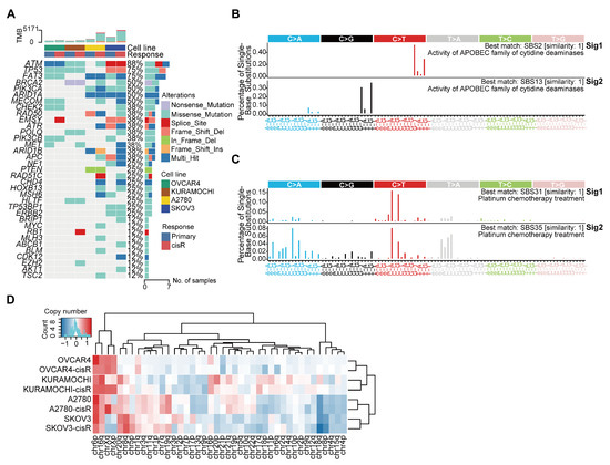 Characterization of Extrachromosomal Circular DNA in Primary and ...