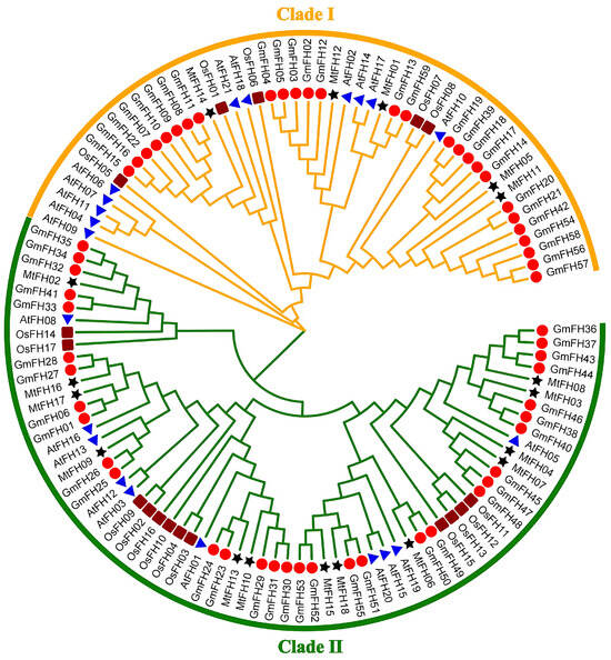 Genome-Wide Characterization and Analysis of the FH Gene Family in ...