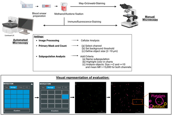 Automated Quantitative Immunofluorescence Microscopy Approach for Diagnosis of Hereditary ...