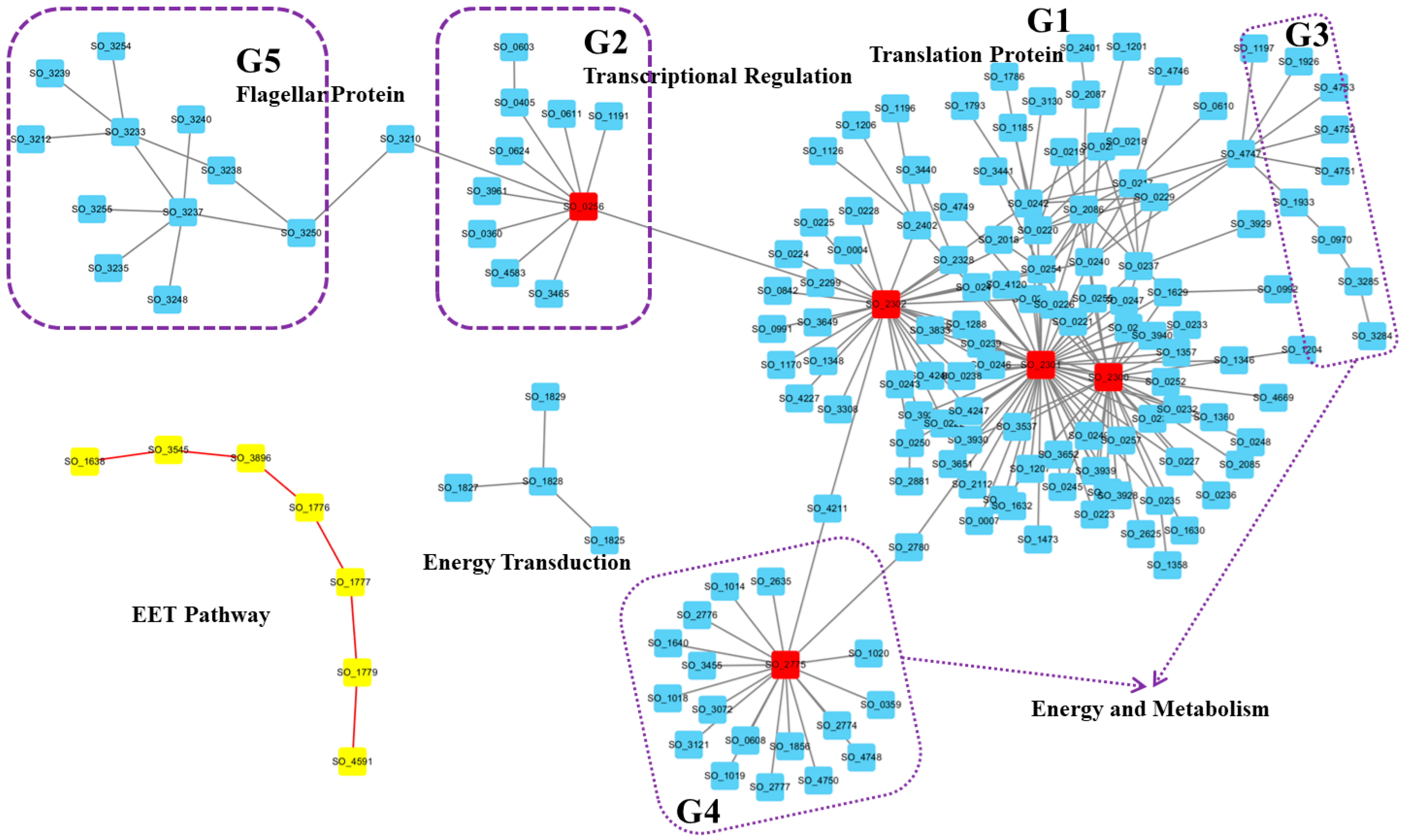 Active Protein Network Analysis Reveals Coordinated Modules and ...