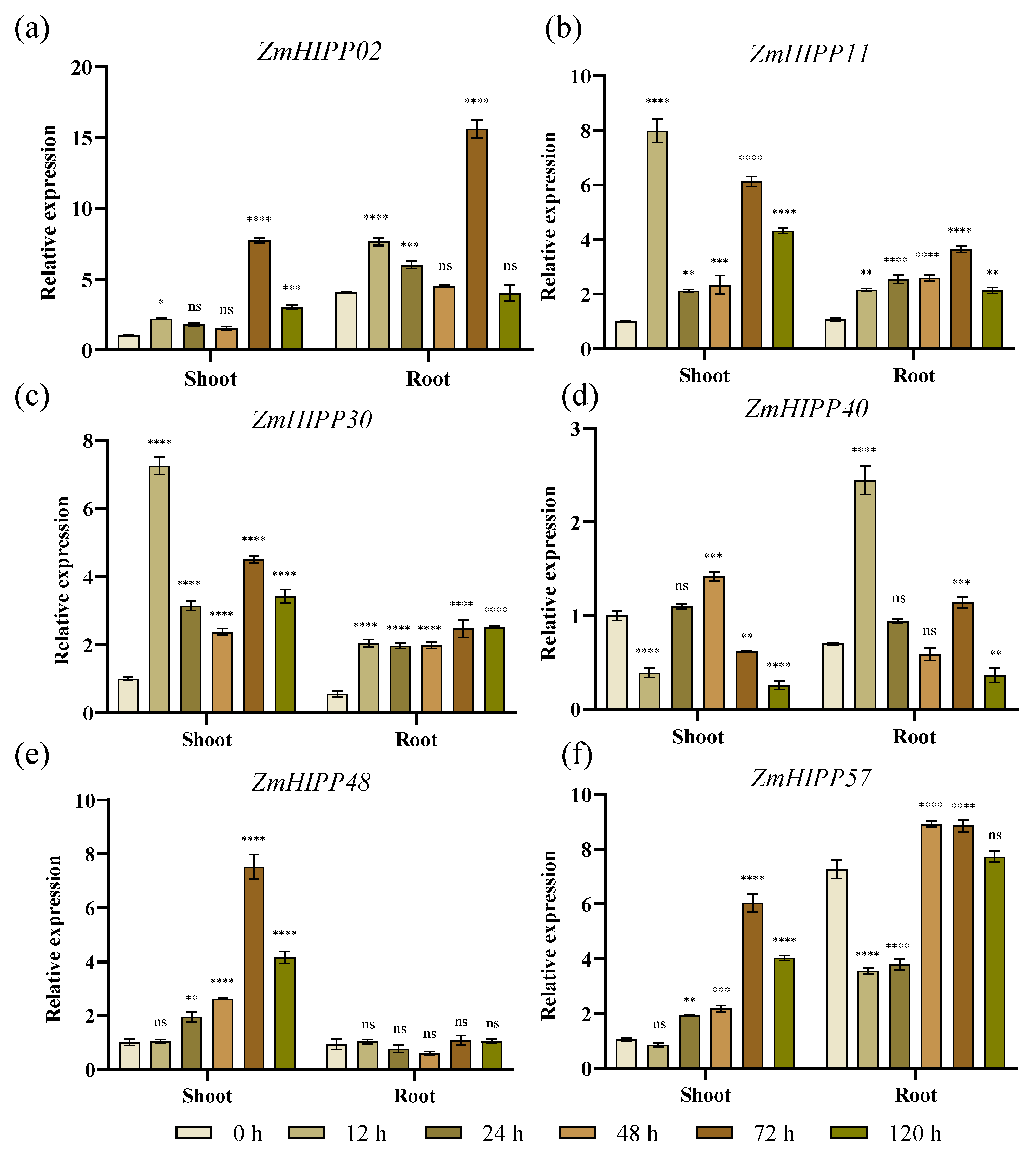 Genome-Wide Analysis of HIPP Gene Family in Maize Reveals Its Role in ...