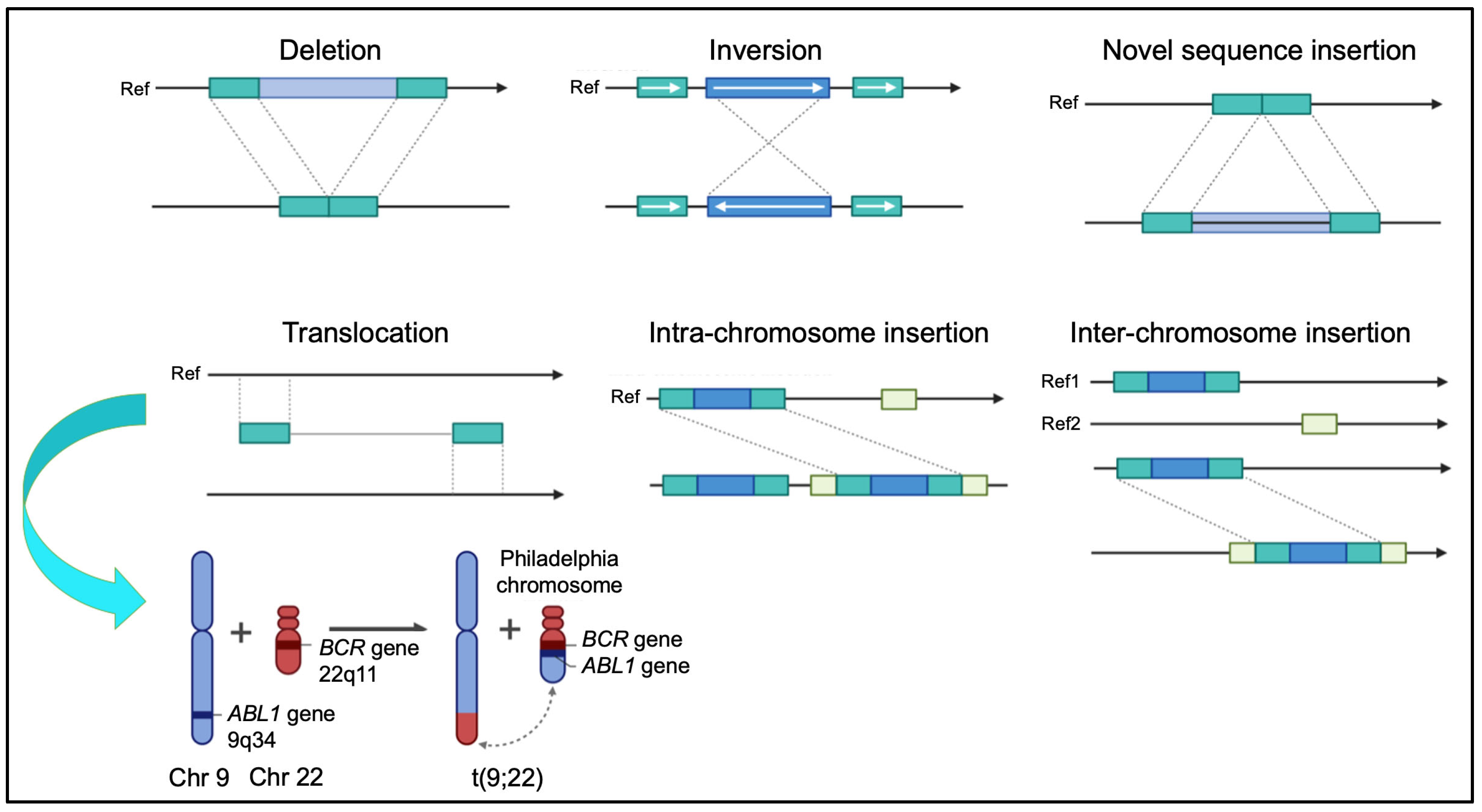 Cytogenetics and Cytogenomics in Clinical Diagnostics: Genome ...